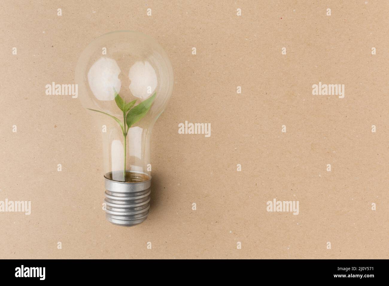 Light bulb small plant inside. High quality photo Stock Photo - Alamy
