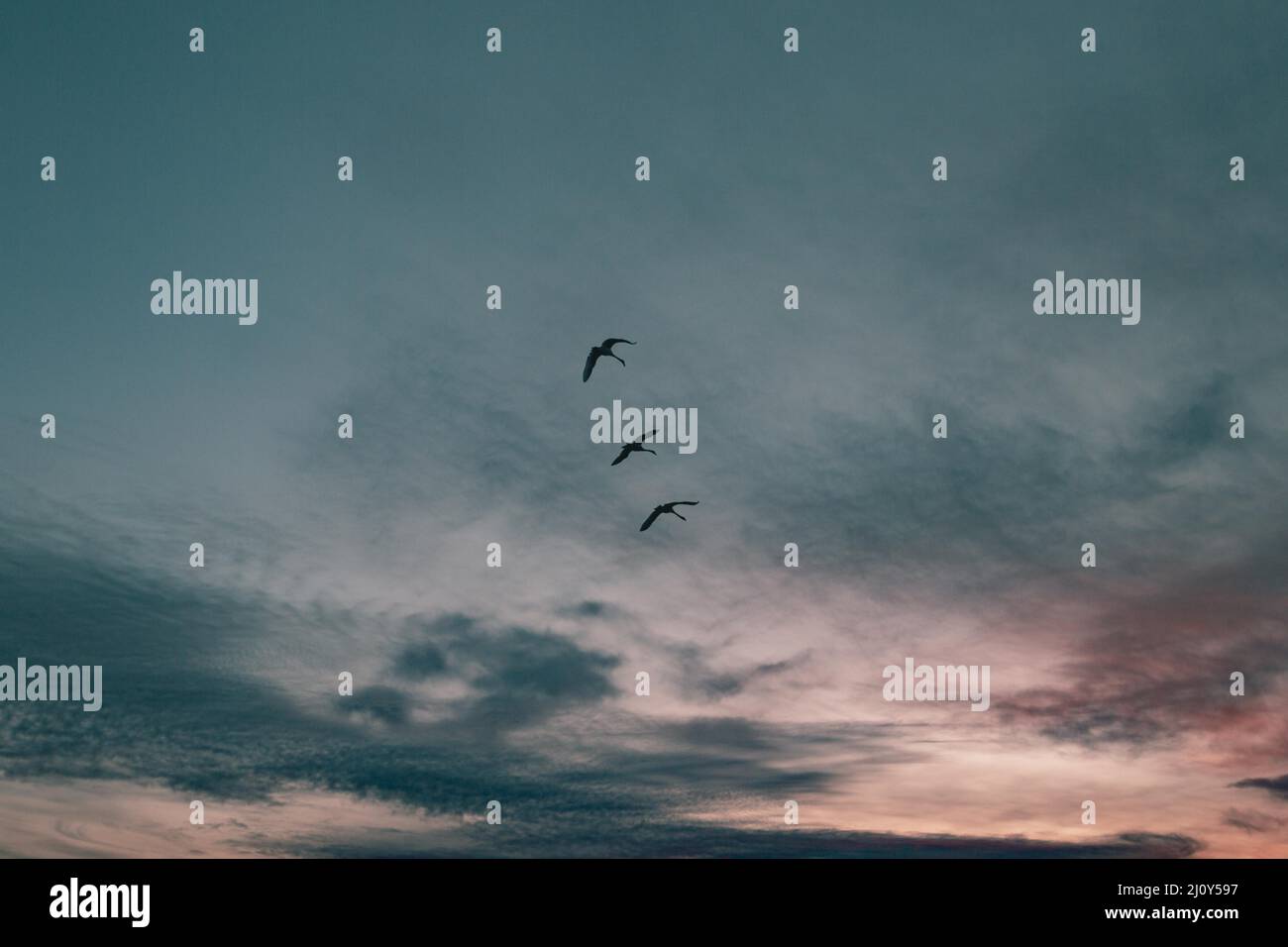 Inspiring view hi-res stock photography and images - Alamy