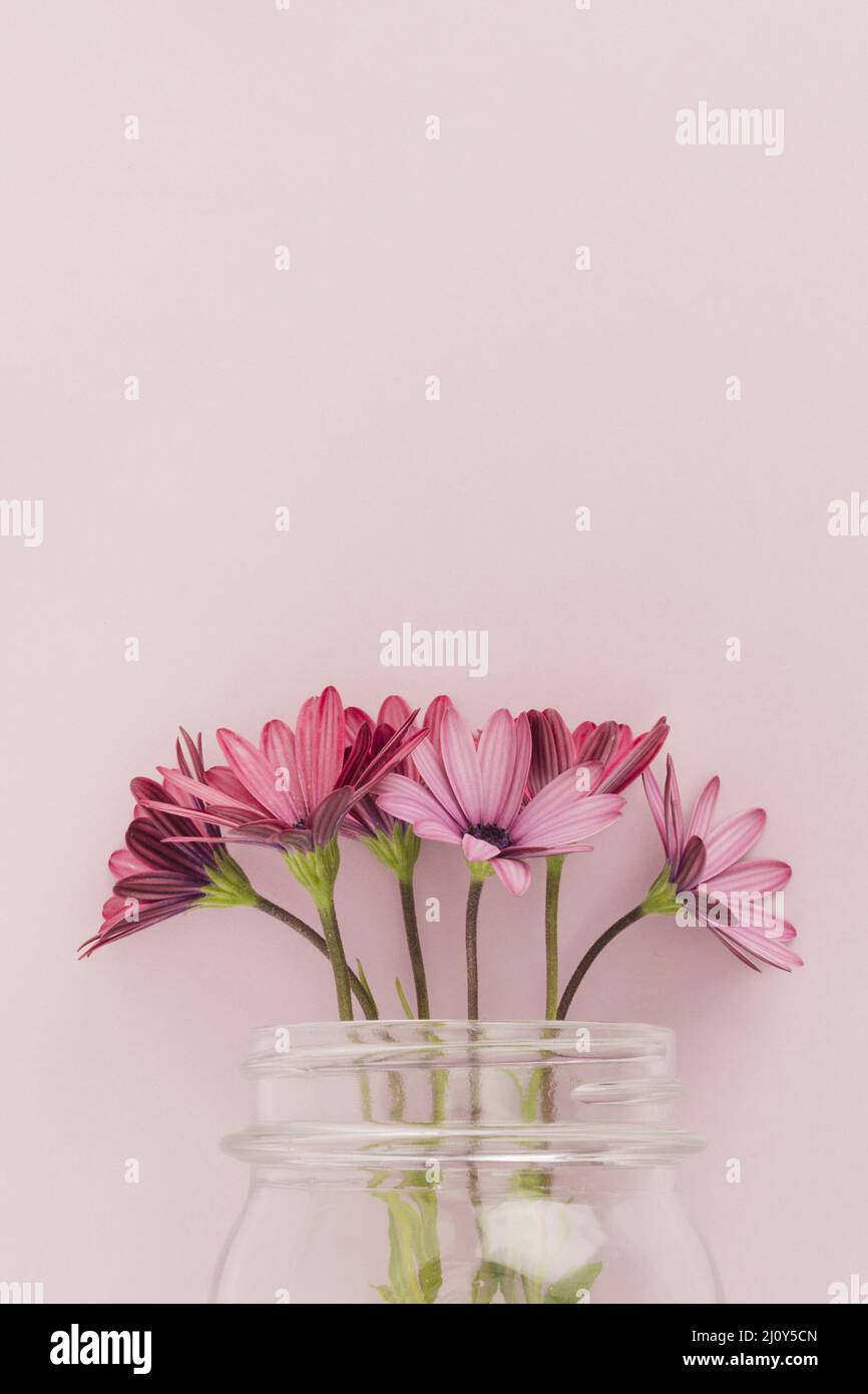 Inside jar hi-res stock photography and images - Alamy