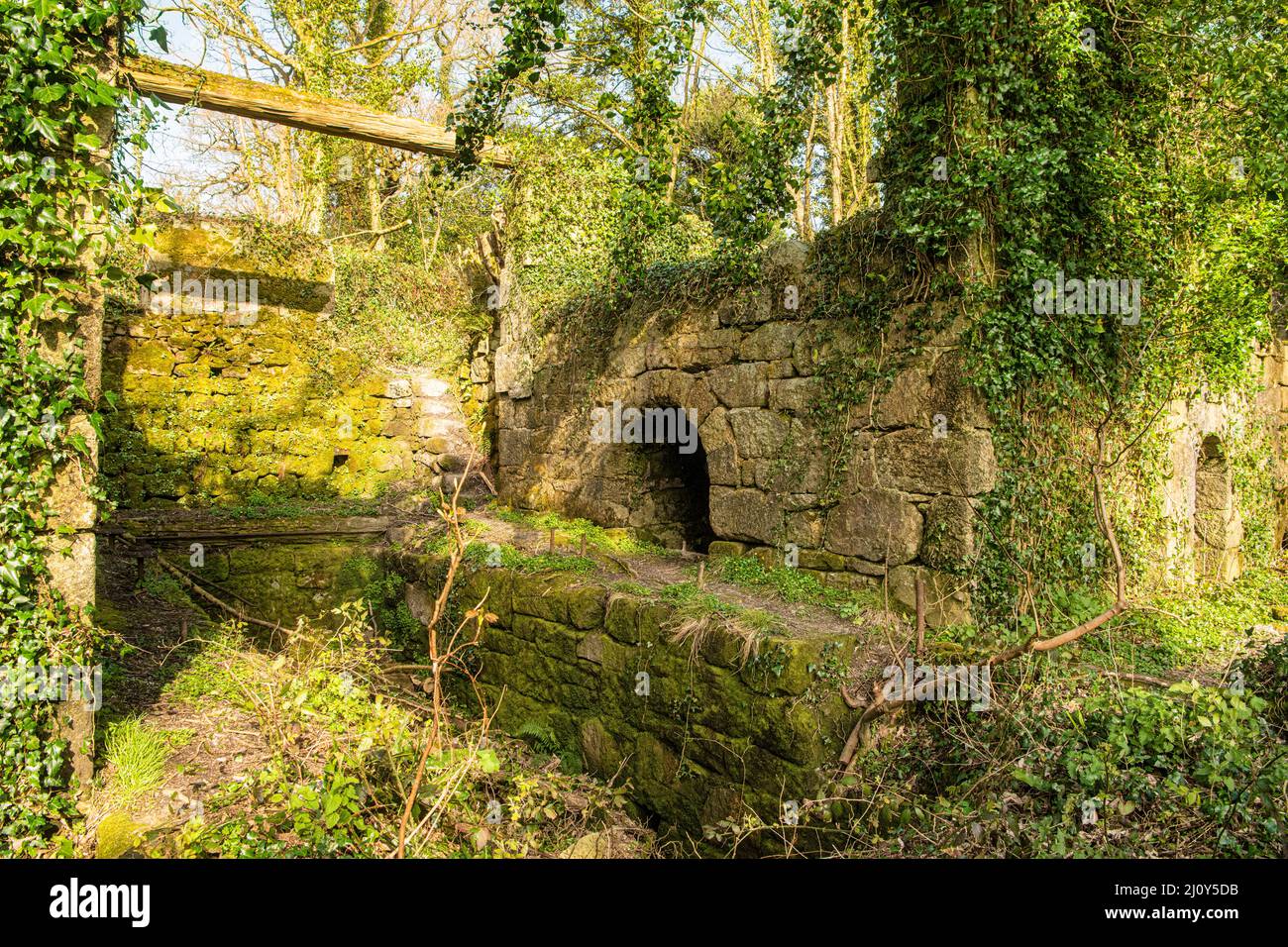 St Austell Tregargus China Stone Quarry & Mills Tregargus Valley near ...