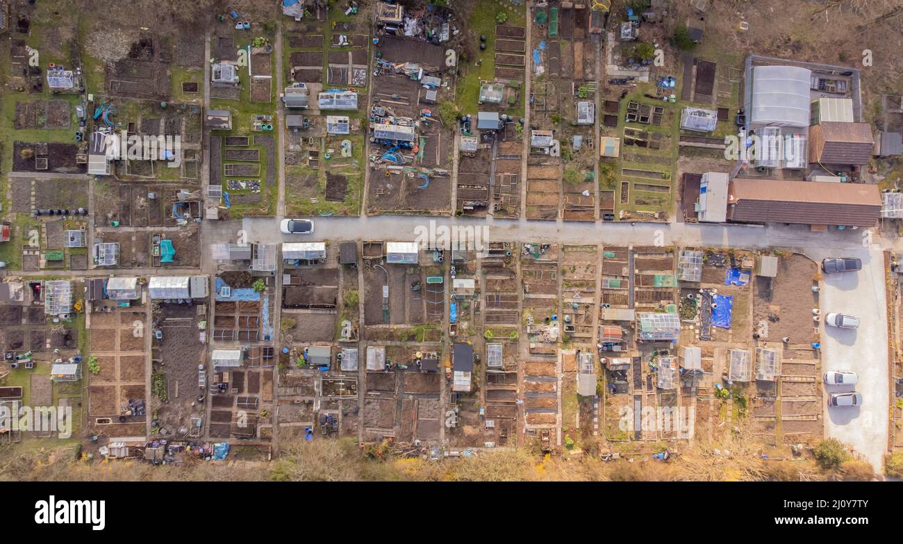 Aerial view of an allotment in Greater Manchester Stock Photo - Alamy