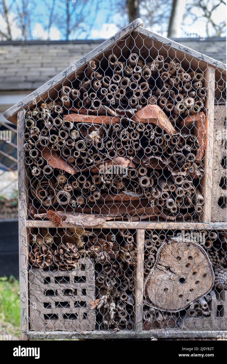 Coram's fields, london hi-res stock photography and images - Alamy