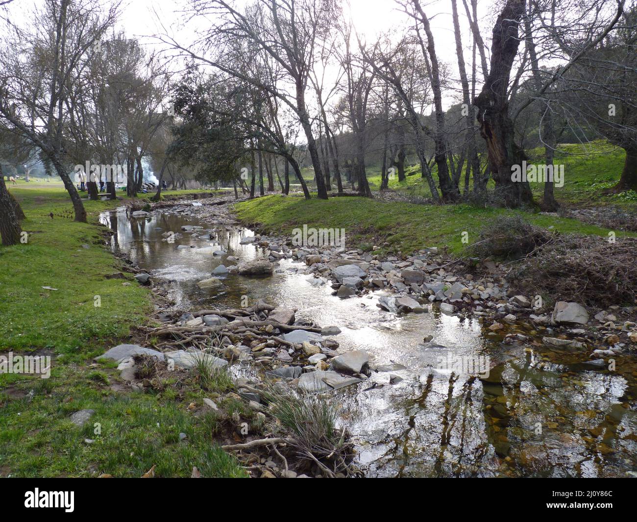 Plants, trees, waterfalls, rocks, bridges and mountains in Andalusia ...