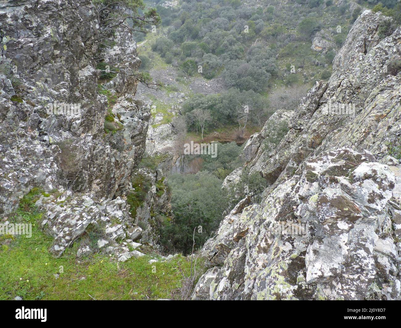 Plants, trees, waterfalls, rocks, bridges and mountains in Andalusia ...
