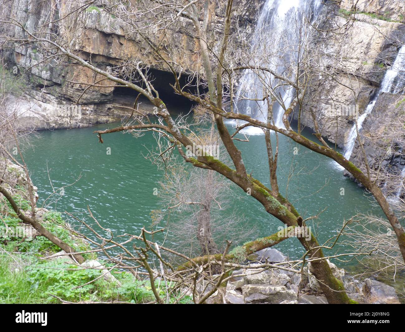 Plants, trees, waterfalls, rocks, bridges and mountains in Andalusia ...
