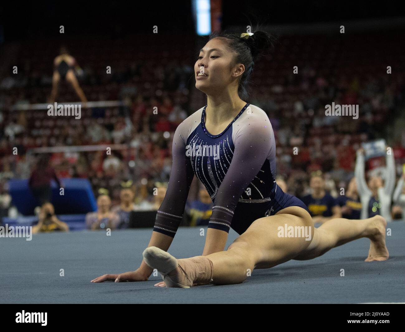 March 19, 2022: University of California Berkeley gymnast Gabby Perea ...