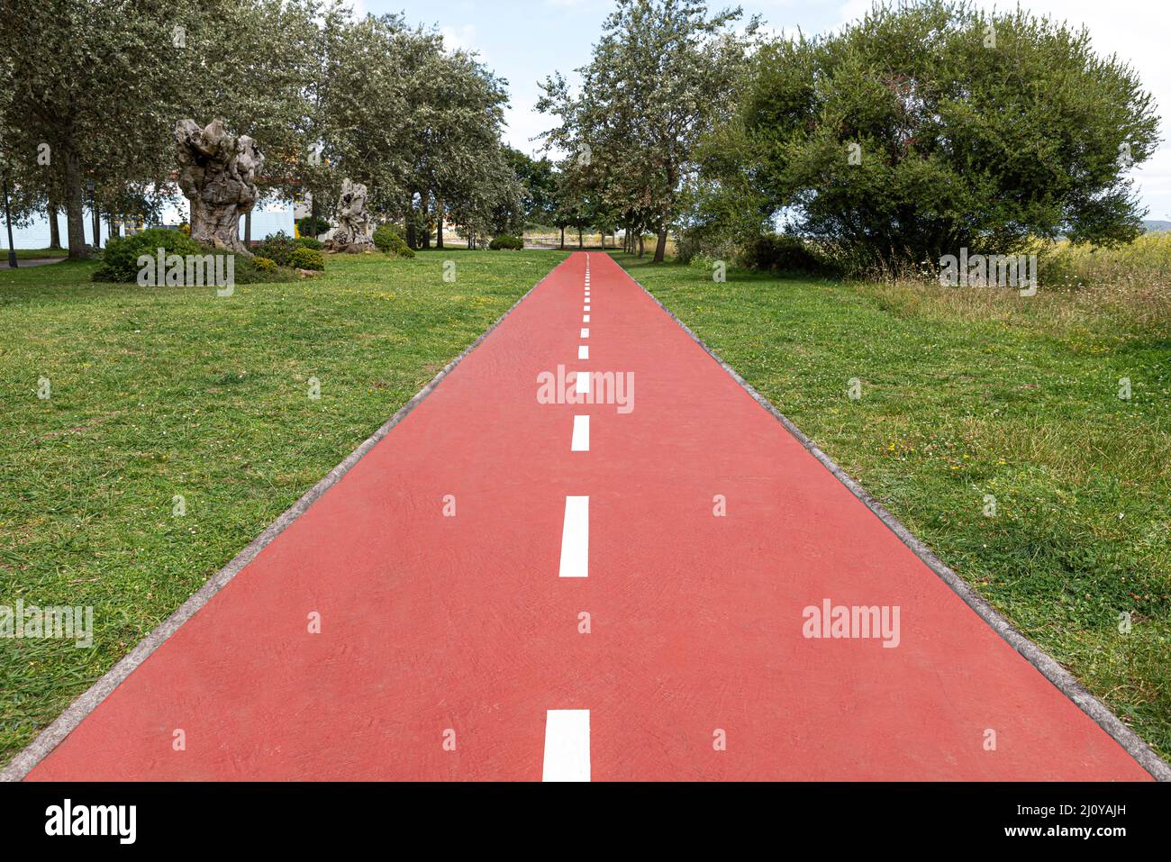 Red running track with olive trees background Stock Photo - Alamy