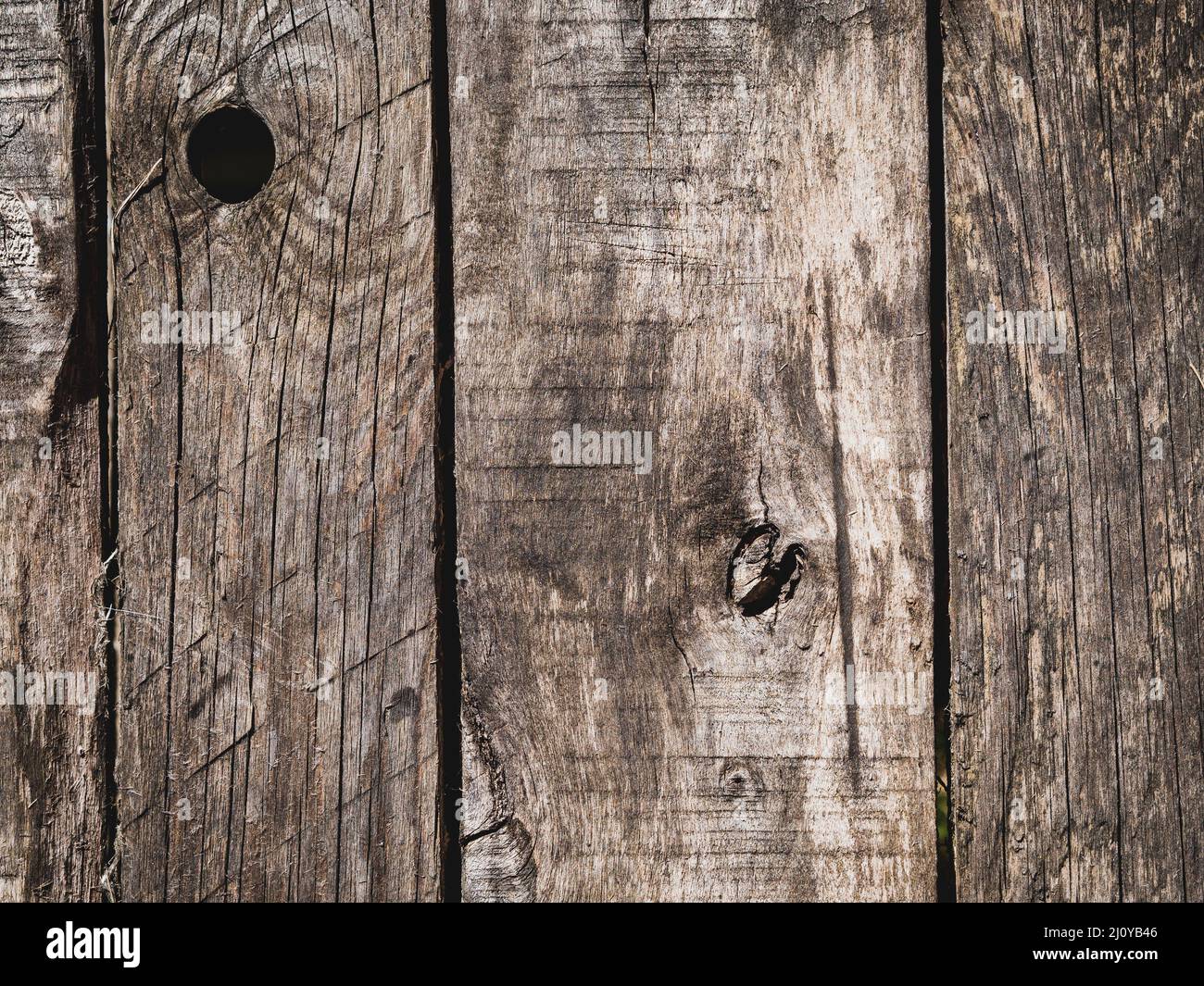Weathered Pine Wood Texture