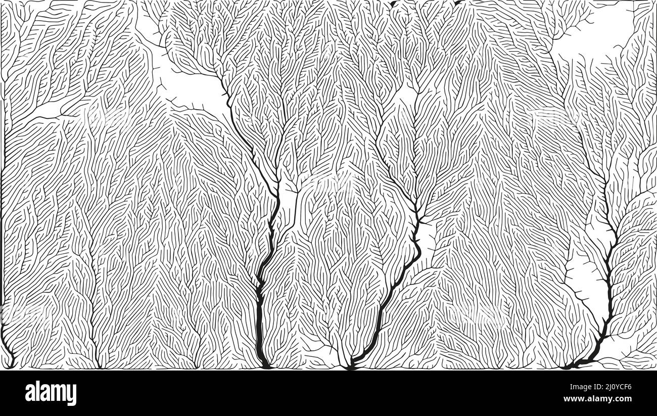 Growth pattern. Generative branching structure. Organic net of vessels ...