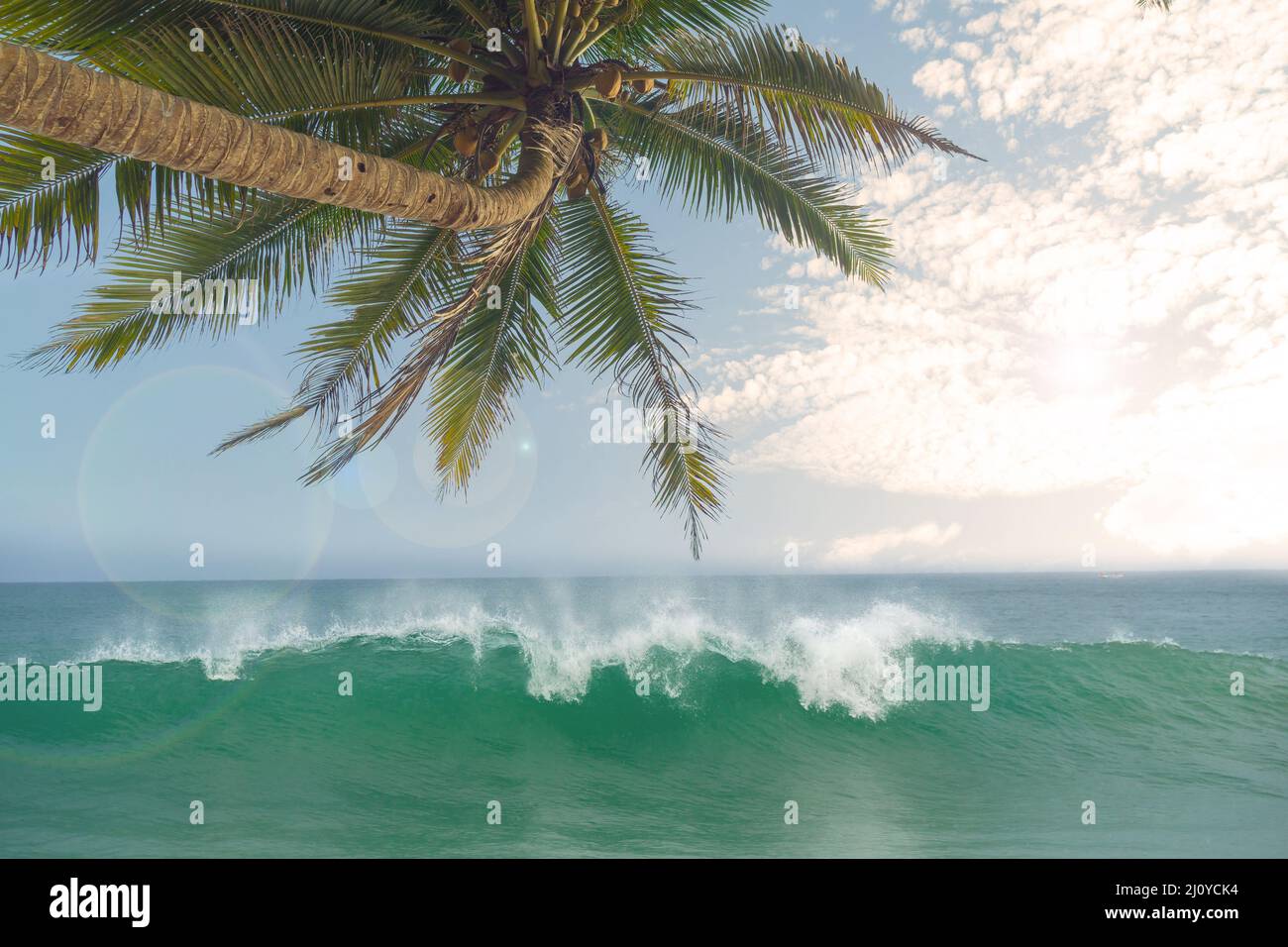 Ocean waves with palm trees hi-res stock photography and images - Alamy