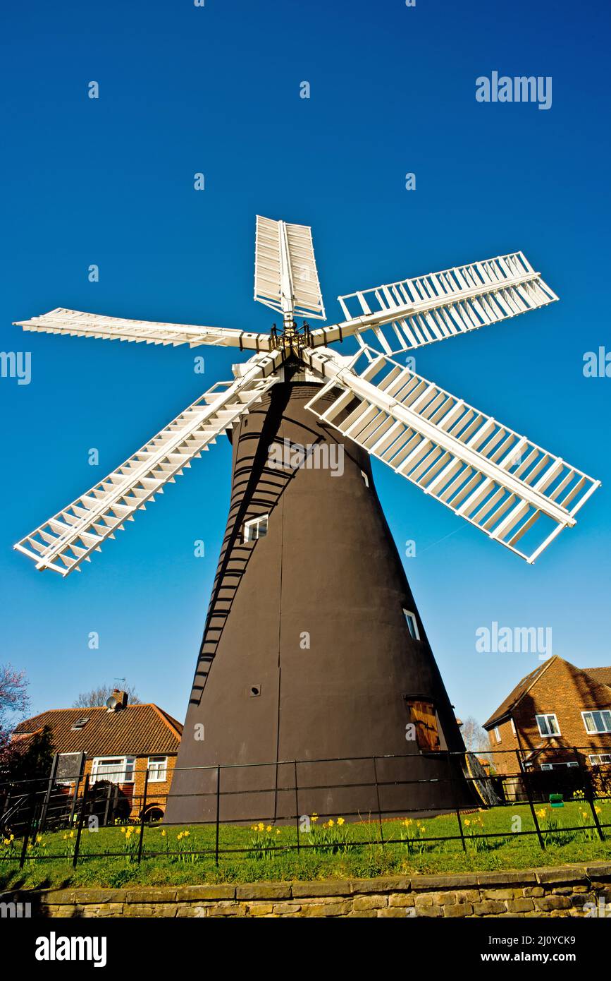 Holgate architecture hi-res stock photography and images - Alamy