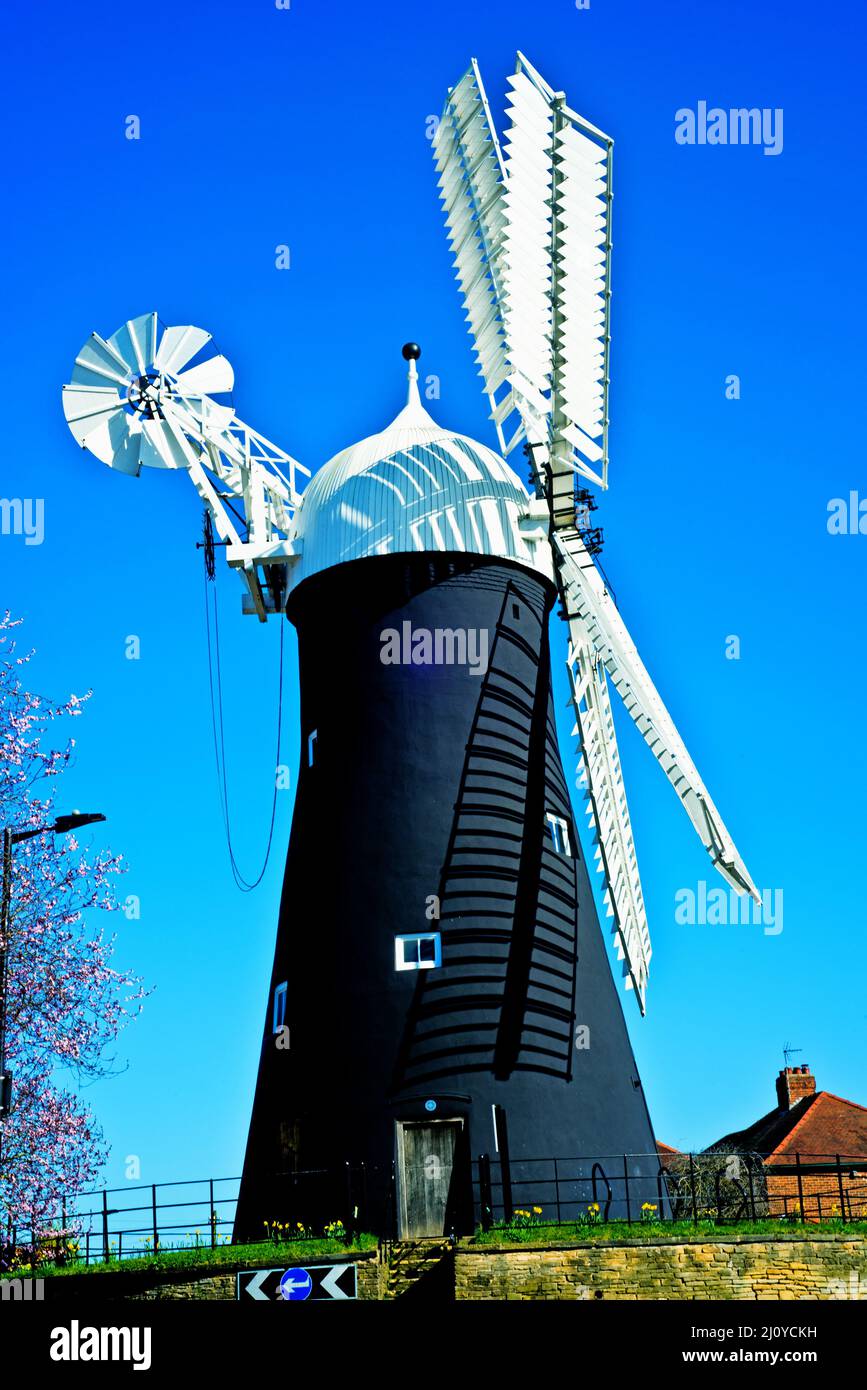Holgate hi-res stock photography and images - Alamy