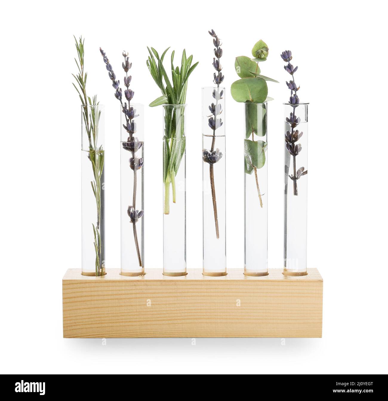 Test tubes with natural essential oils on white background Stock Photo ...