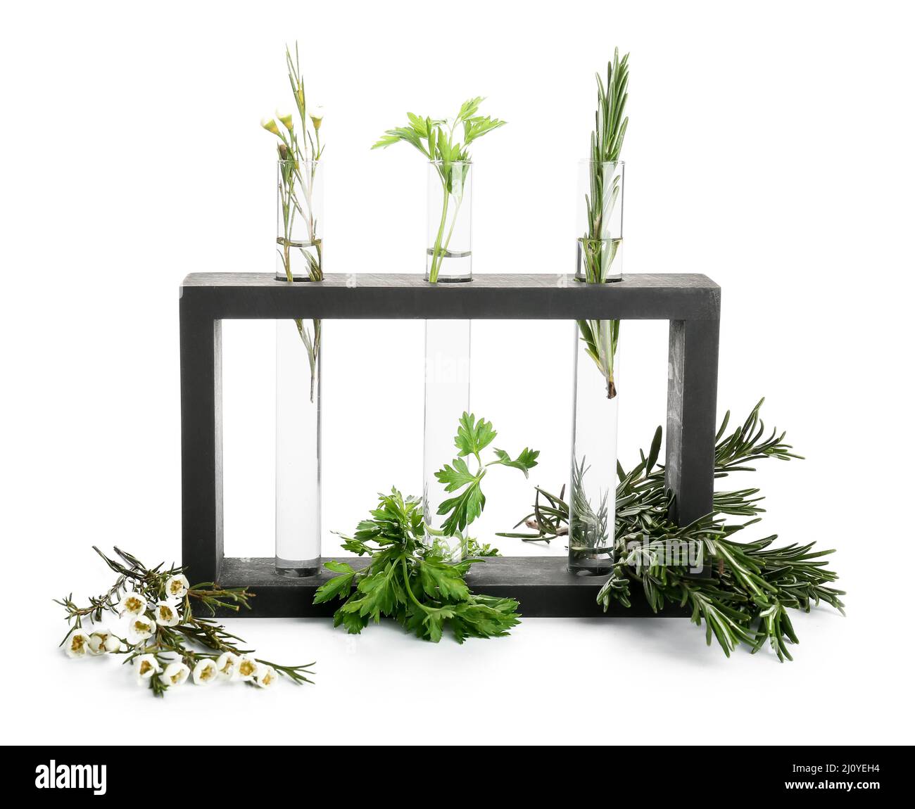 Test tubes with natural essential oils on white background Stock Photo ...