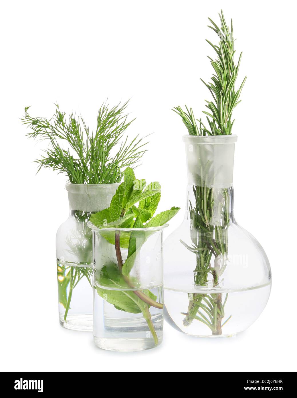 Laboratory glassware with natural essential oils on white background ...