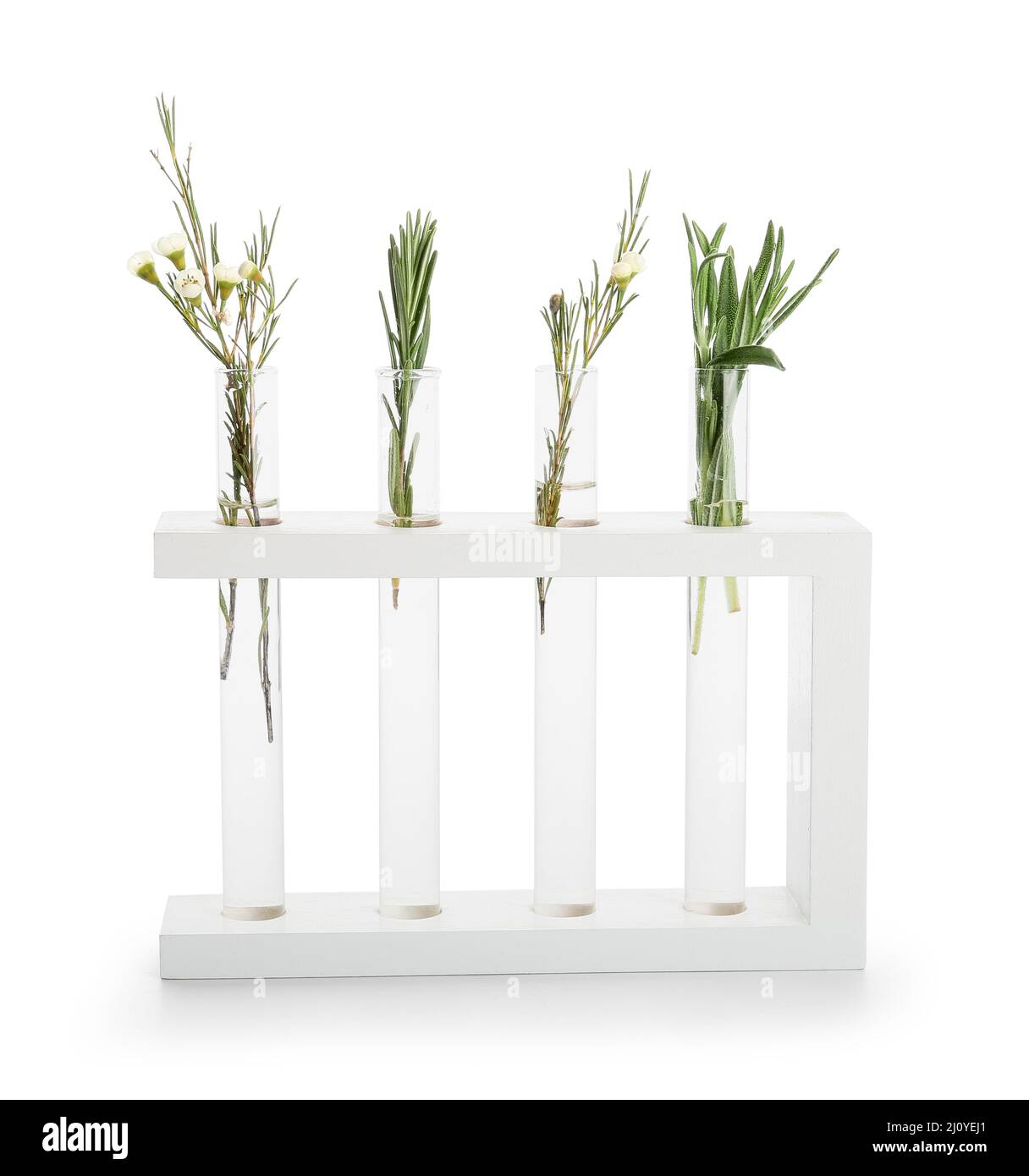 Test tubes with natural essential oils on white background Stock Photo ...