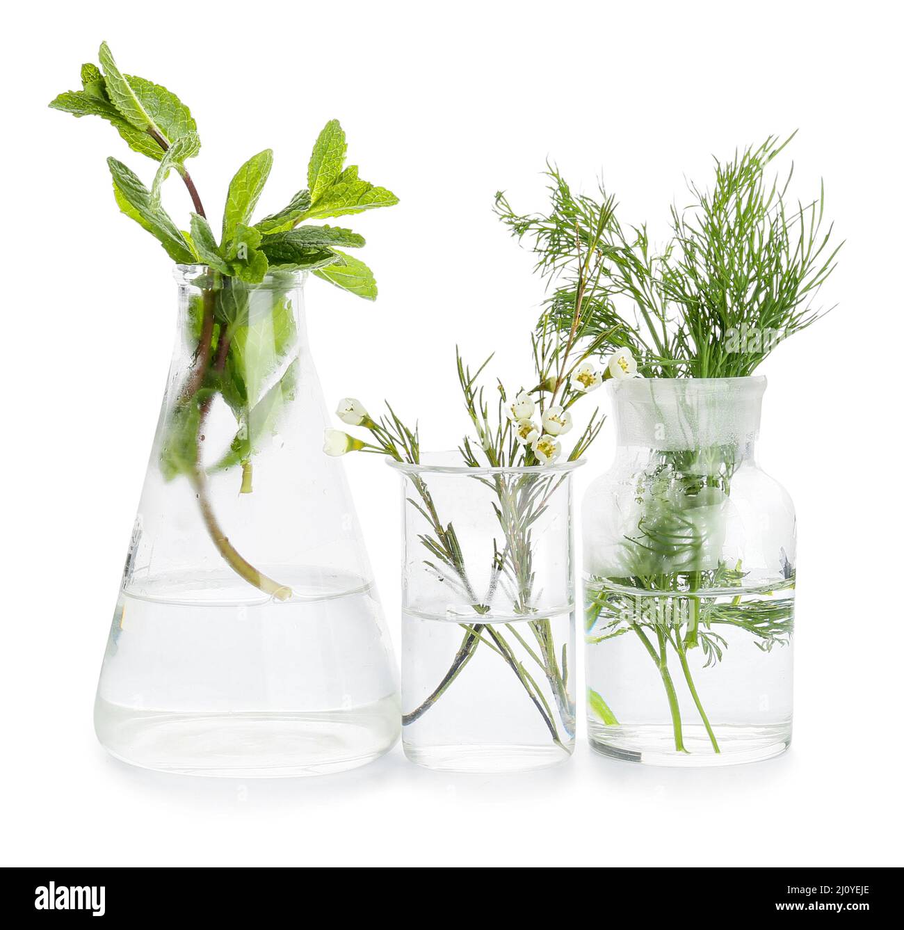 Laboratory glassware with natural essential oils on white background ...