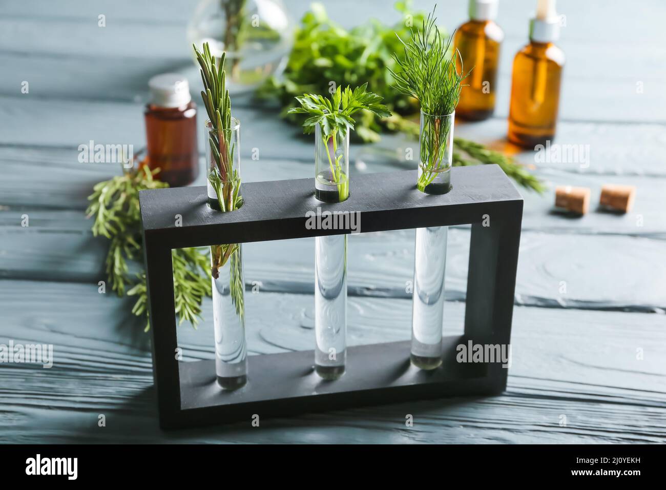Extraction of essential oils hi-res stock photography and images - Alamy