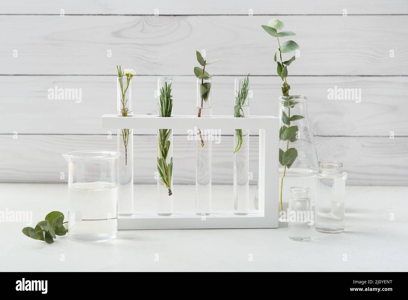 Extraction of essential oils hi-res stock photography and images - Alamy