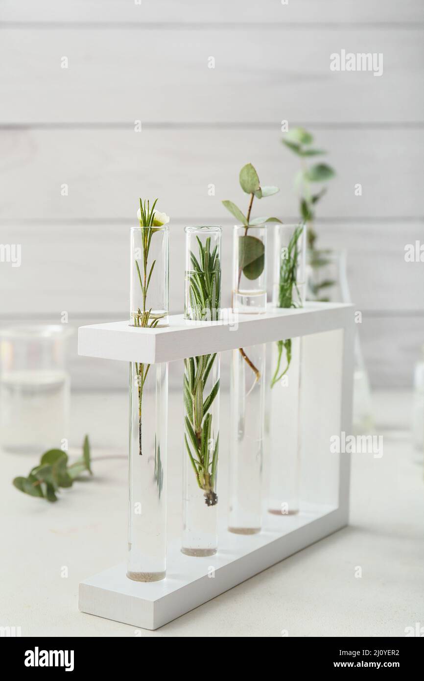 Test tubes with natural essential oils in laboratory Stock Photo - Alamy