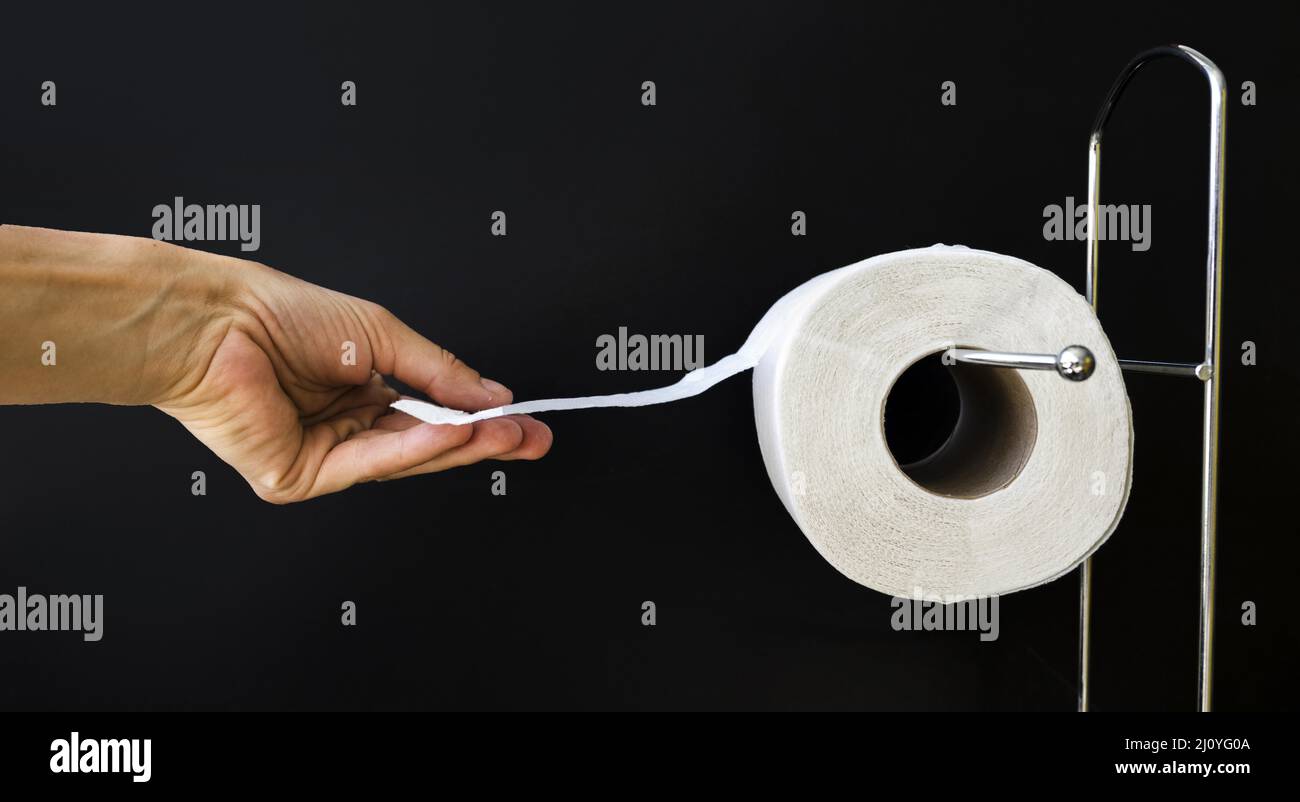 Side view toilet paper roll. High quality photo Stock Photo - Alamy