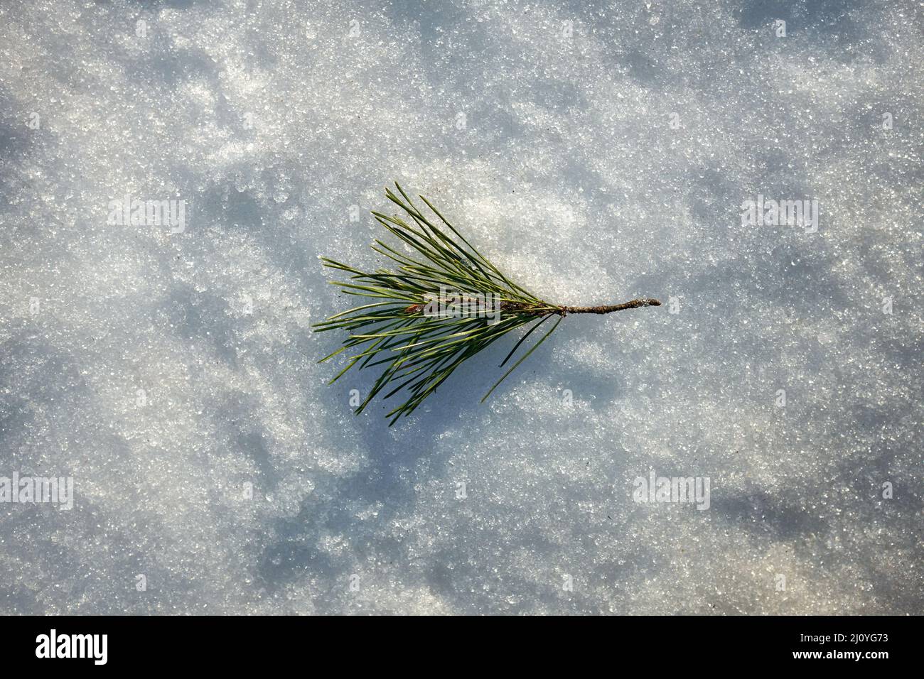 Sparkling snow hi-res stock photography and images - Alamy