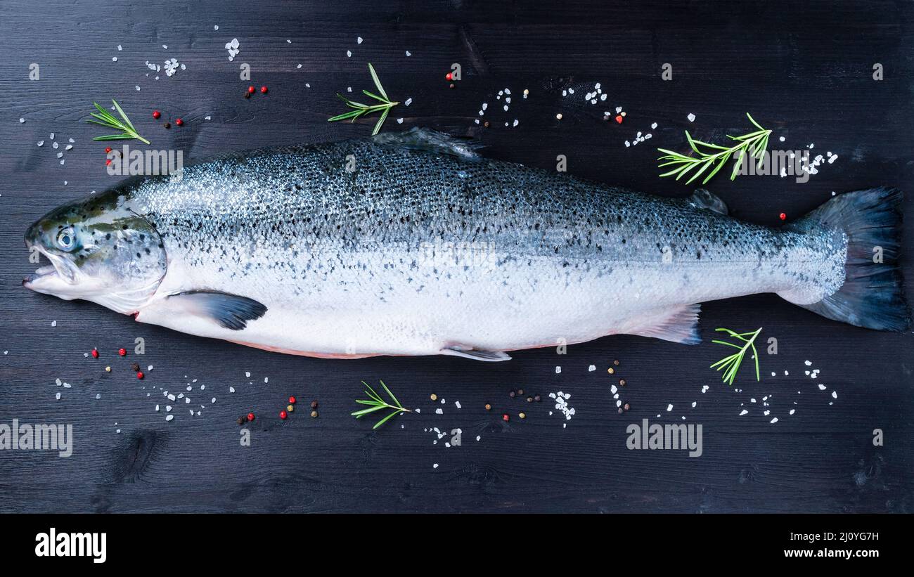Whole fresh raw big salmon fish Stock Photo - Alamy