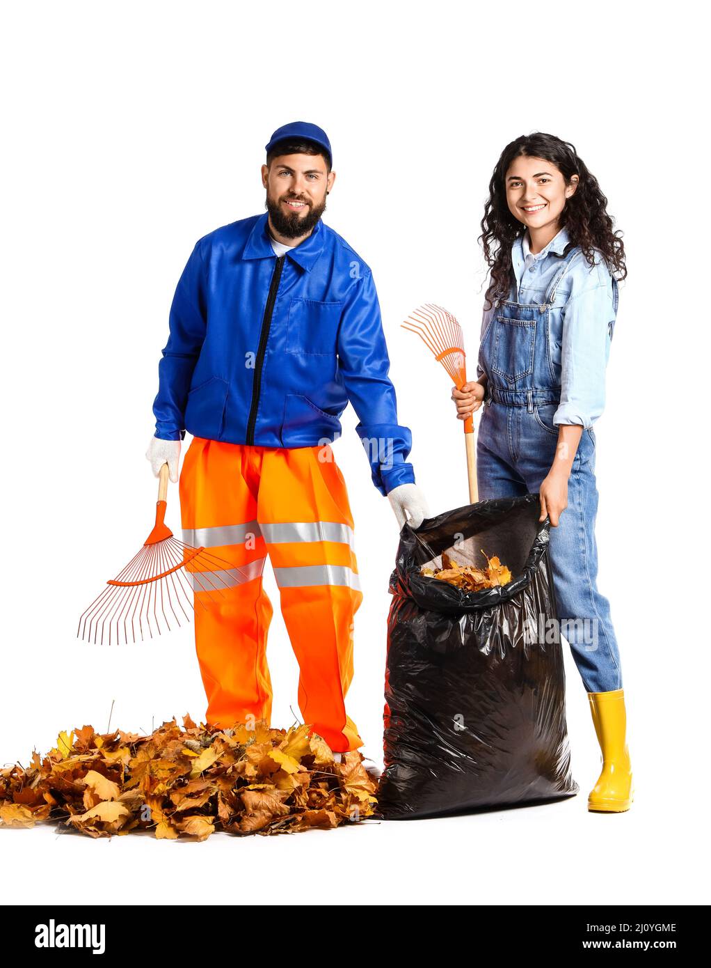 People gathering autumn leaves on white background Stock Photo - Alamy