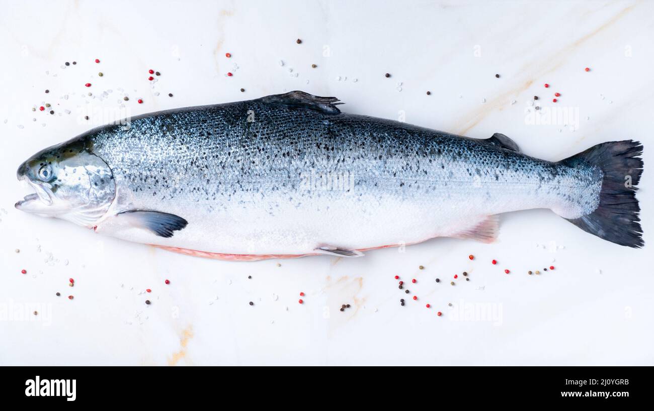Whole fresh raw big salmon fish Stock Photo - Alamy