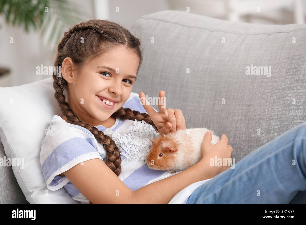 Little girl with cute guinea pig on sofa Stock Photo - Alamy