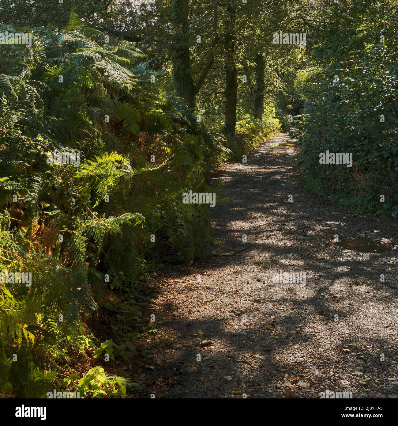 Interwoven road hi-res stock photography and images - Alamy