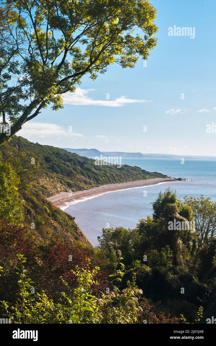 Axmouth and lyme regis hi-res stock photography and images - Alamy