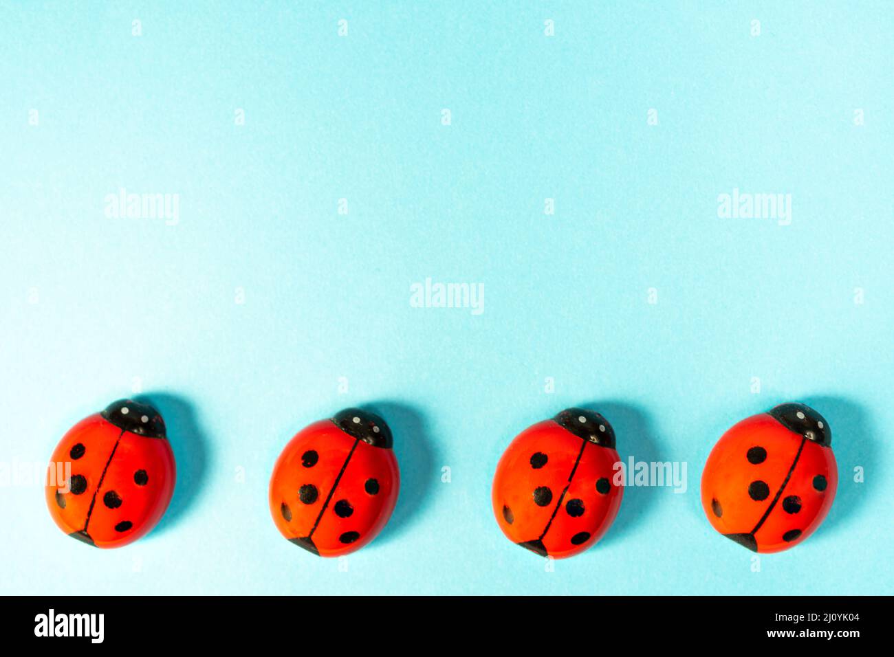 Ladybug insect hi-res stock photography and images - Alamy