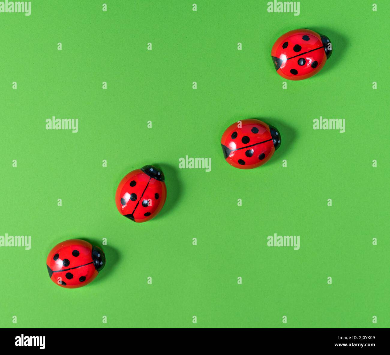 Ladybug insect hi-res stock photography and images - Alamy