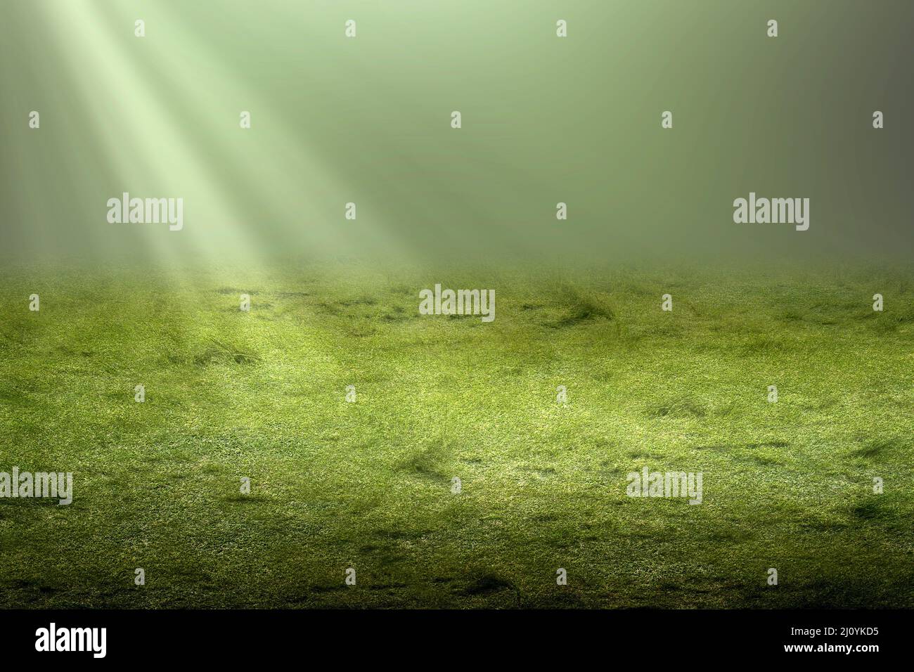 Green grass with sunlight background Stock Photo - Alamy