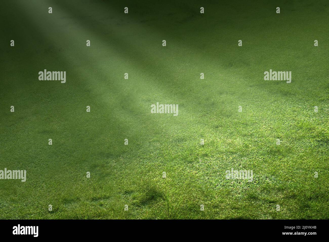 Green grass with sunlight background Stock Photo - Alamy