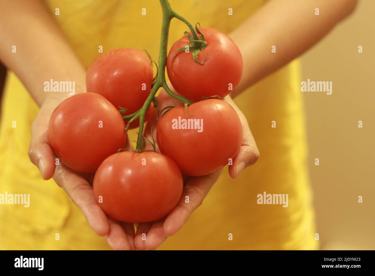 Fresh tomato on woman hand Stock Photo - Alamy