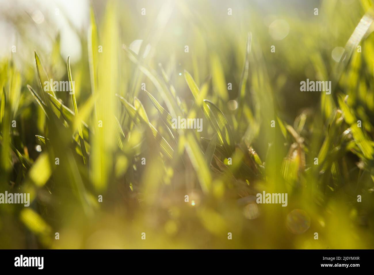 Quality natural hi-res stock photography and images - Alamy