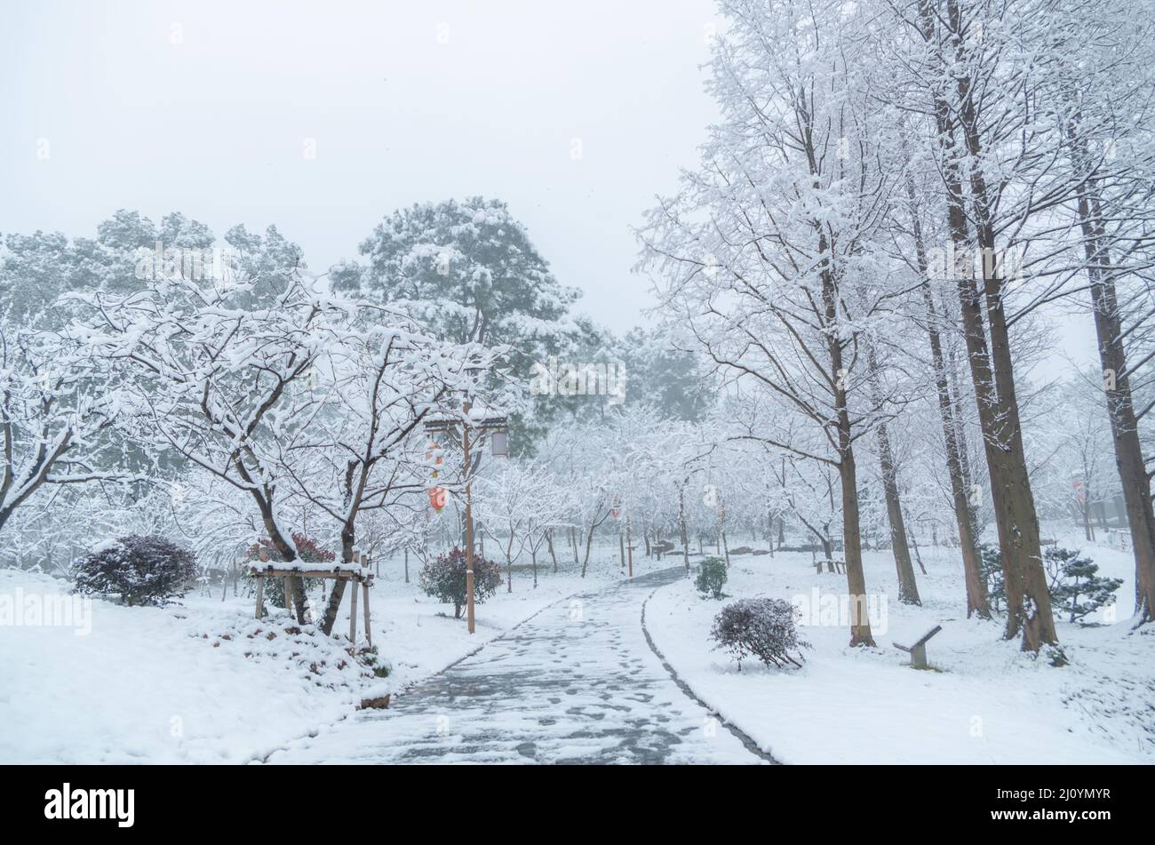 China snow wuhan hi-res stock photography and images - Alamy