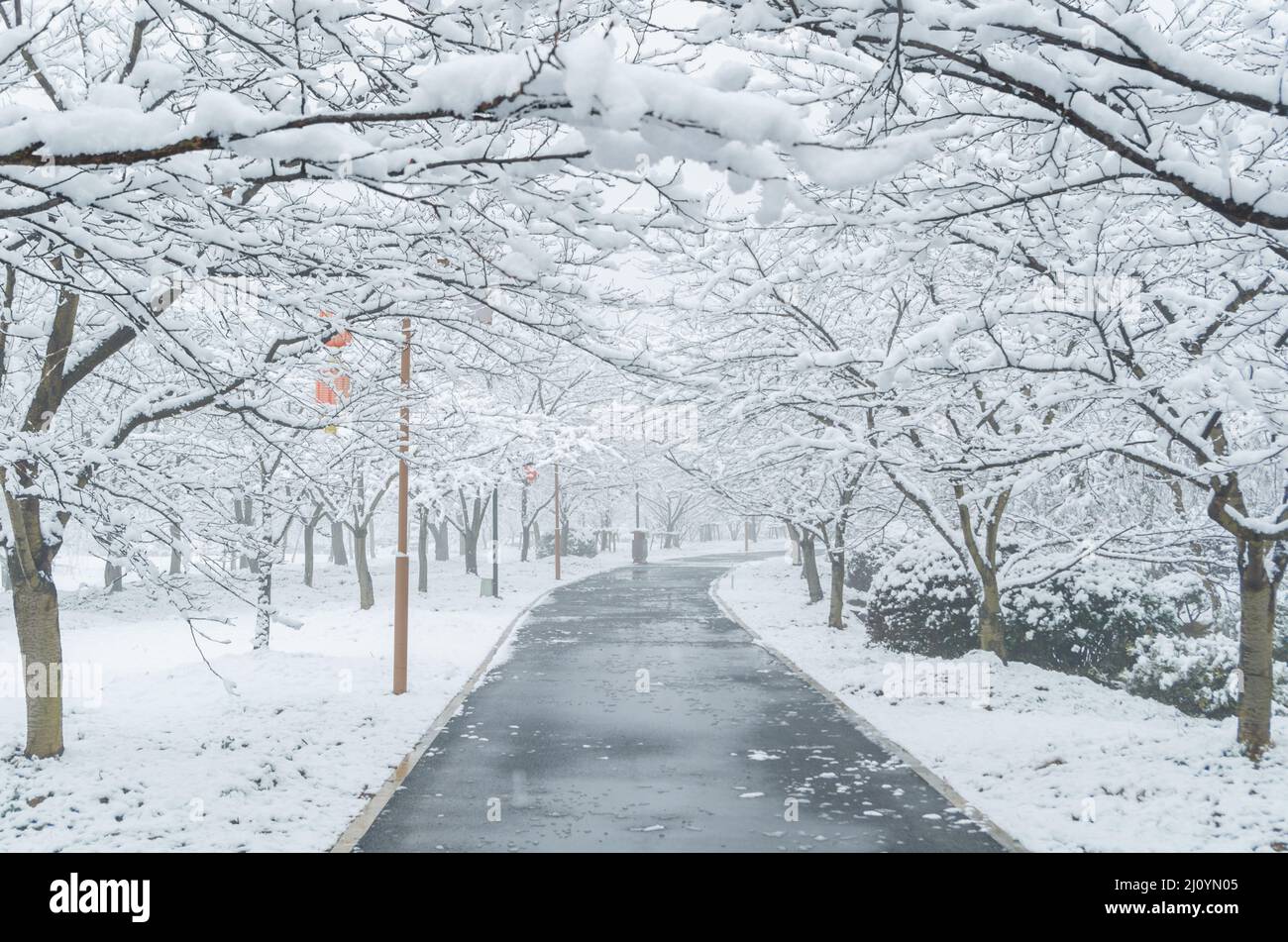 China snow wuhan hi-res stock photography and images - Alamy