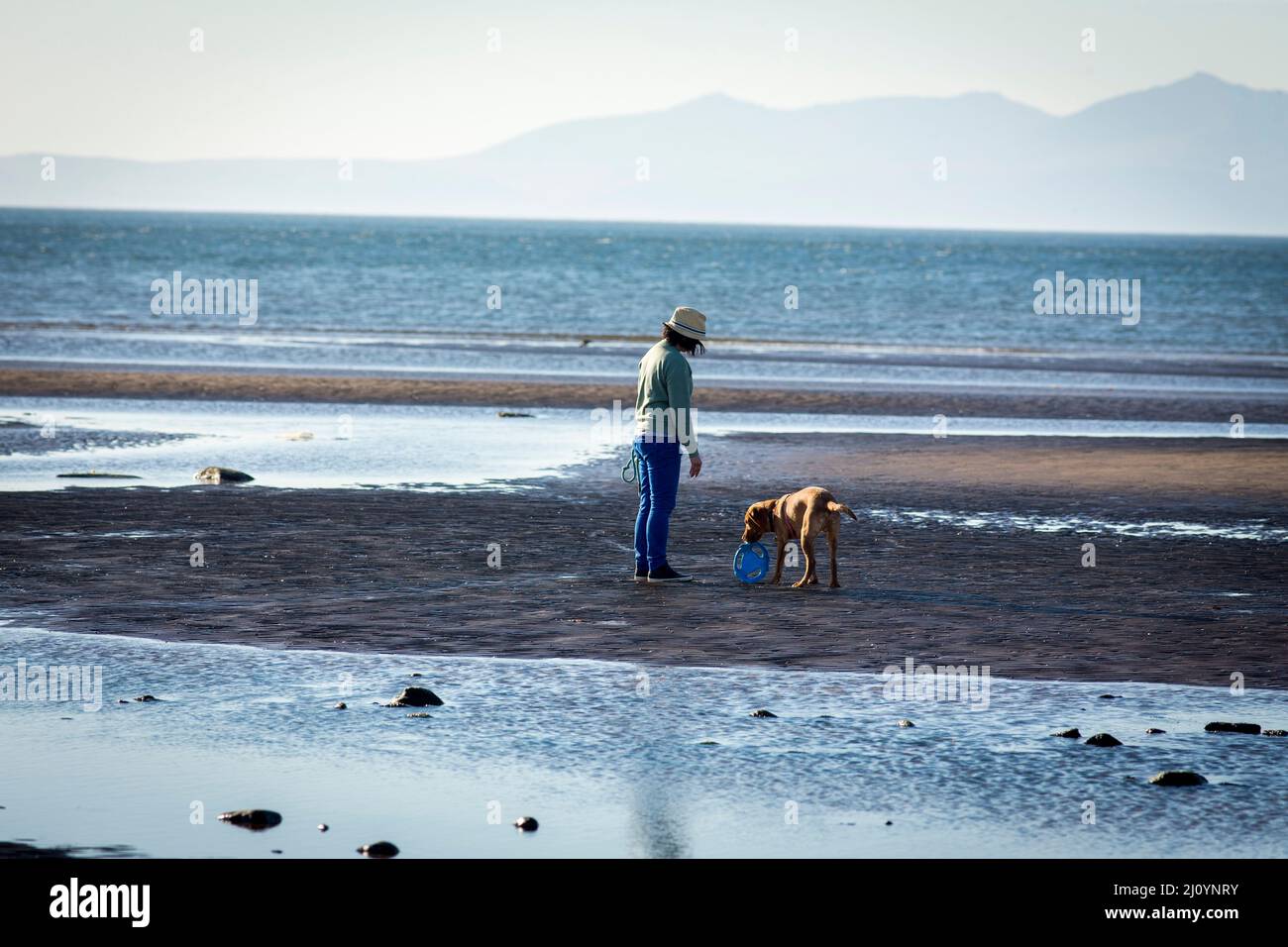 Lady isle scotland troon hi-res stock photography and images - Alamy
