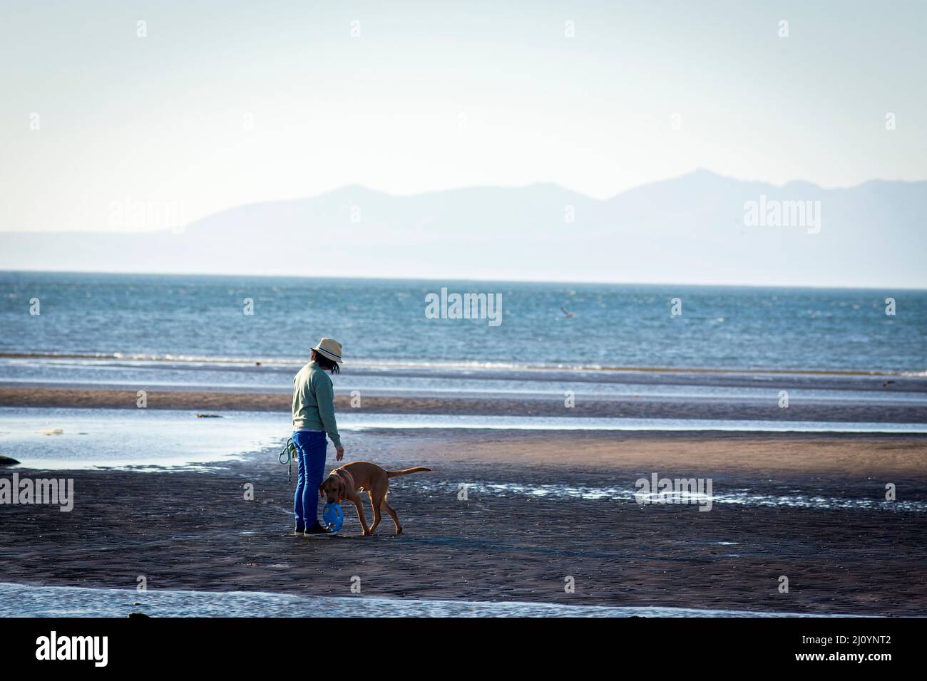 Lady isle scotland troon hi-res stock photography and images - Alamy