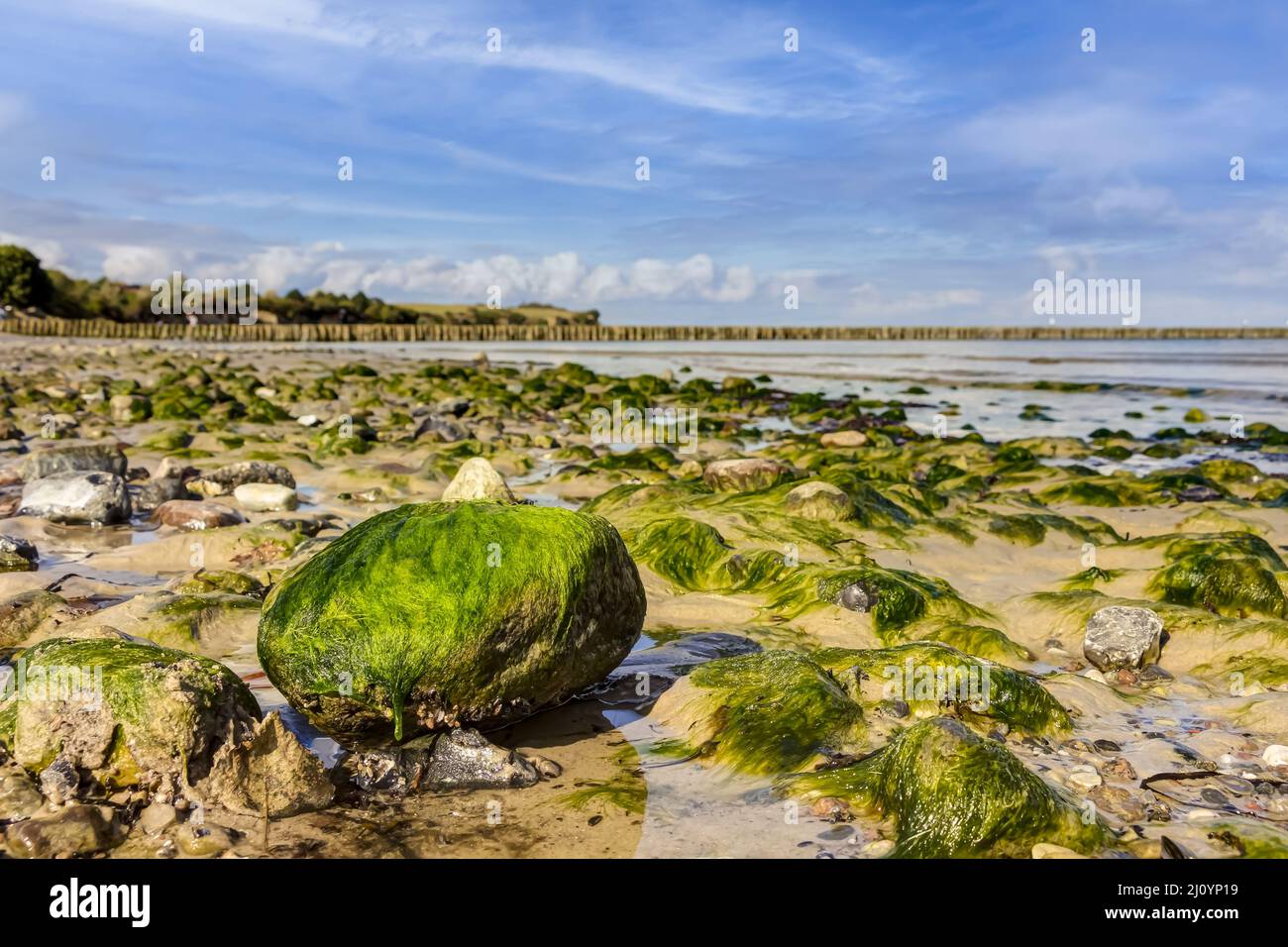 Stones on the beach Stock Photo - Alamy