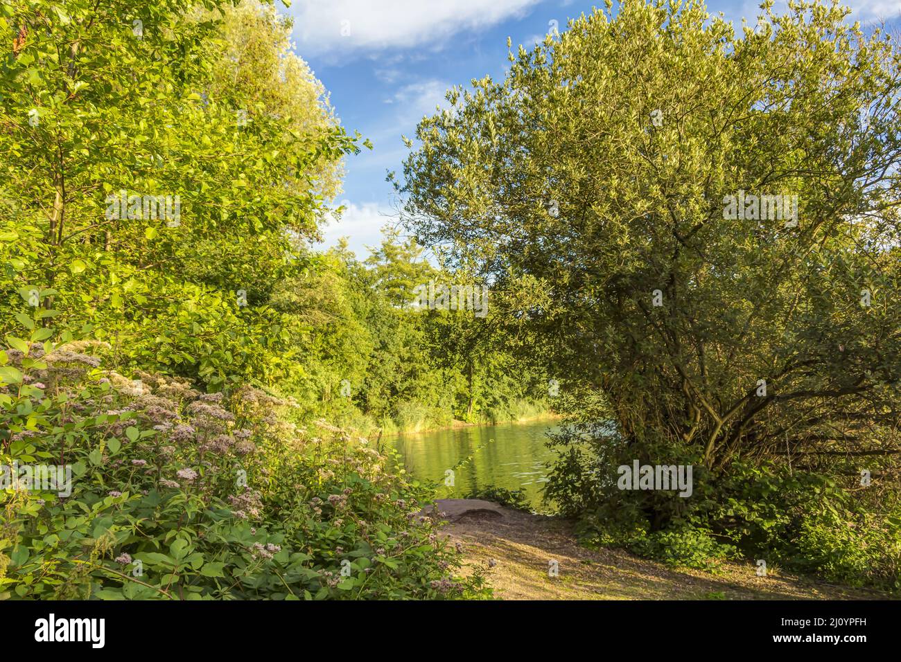Staudenweiher hi-res stock photography and images - Alamy
