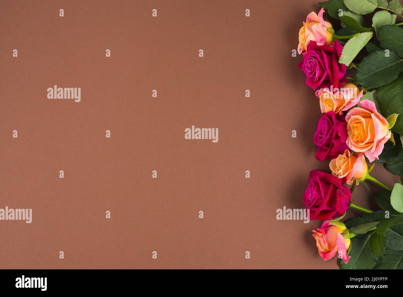 Photo image framing hi-res stock photography and images - Alamy