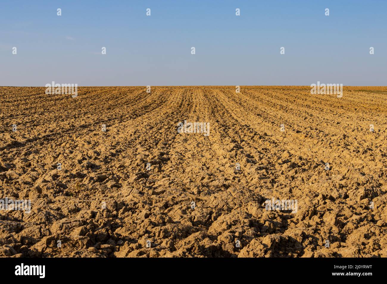 Landscape with plowed field with focus on foreground and horizon over ...