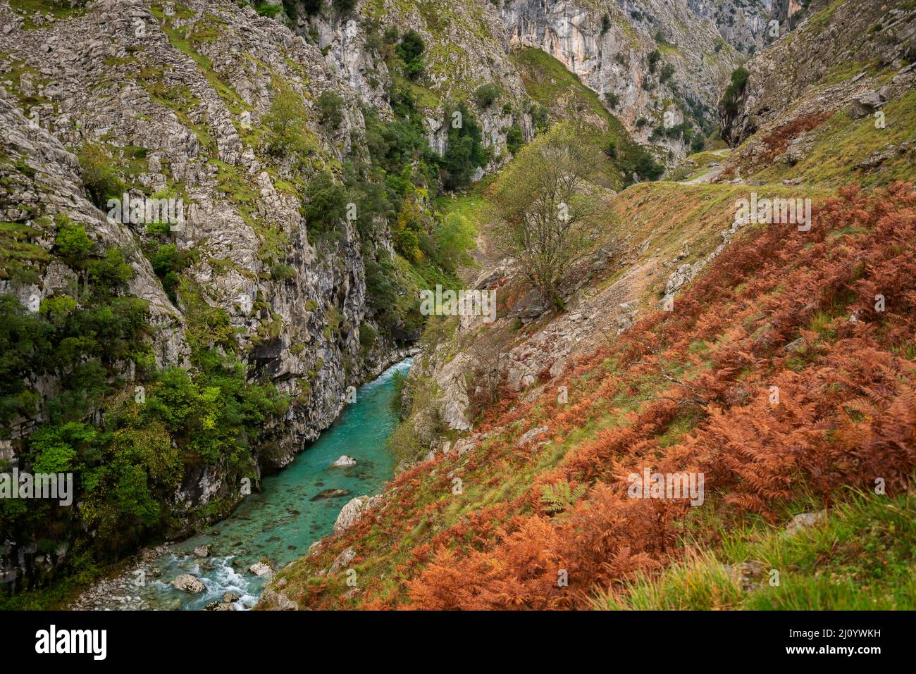 Ruta del Cares trail nature landscape in Picos de Europa national park ...