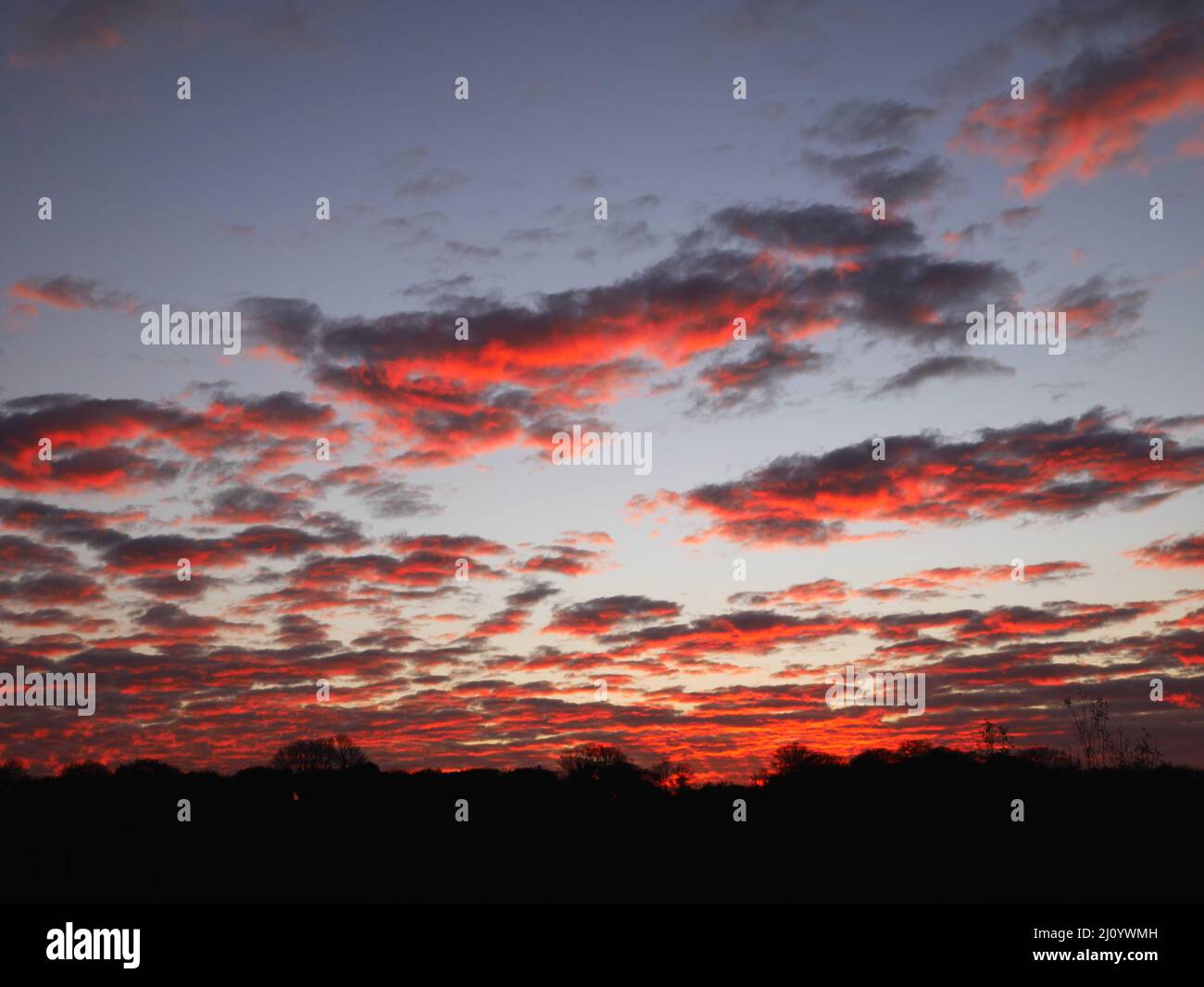 Night sky cornwall hi-res stock photography and images - Alamy