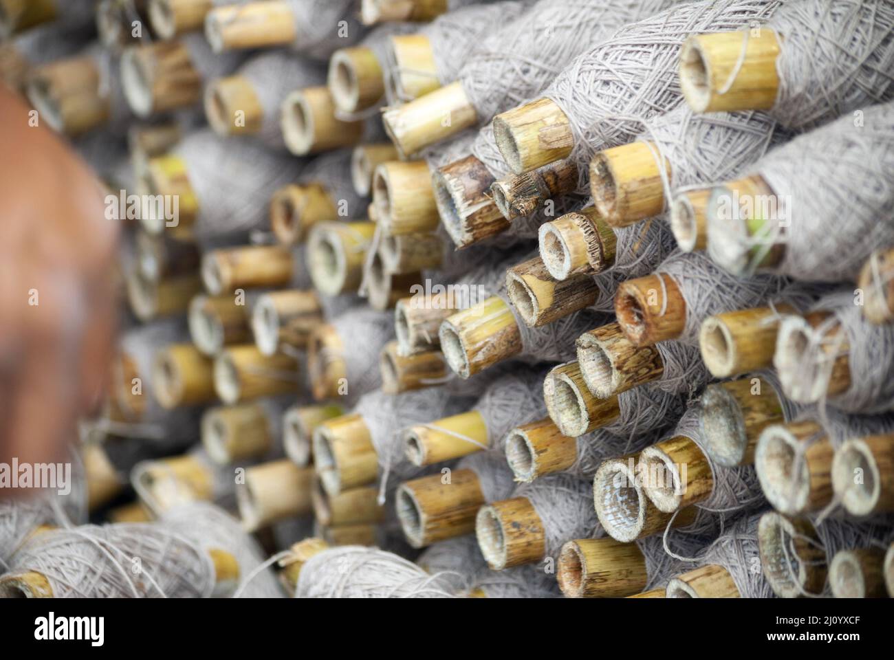 Group of threads made of cotton, textile industry in Guatemala ...