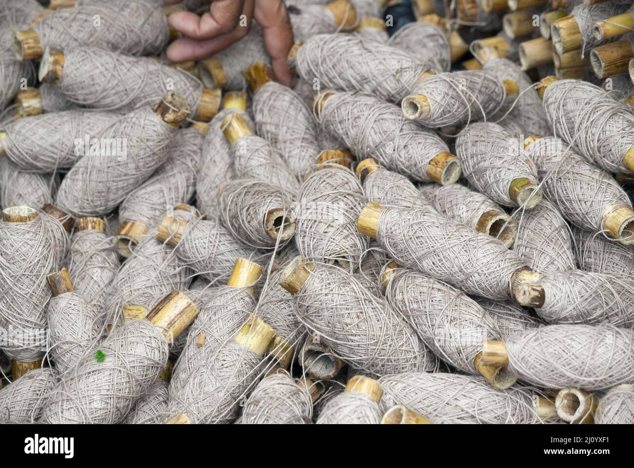 Group of threads made of cotton, textile industry in Guatemala ...